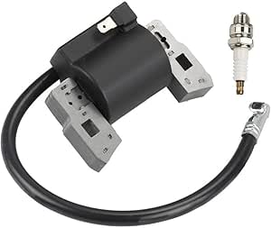 Amazon.com: For Ignition Coil to Eliminate Points 5hp For Briggs ...