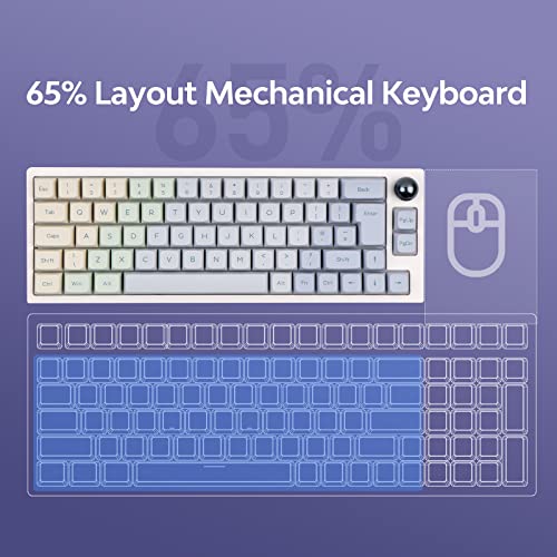 EPOMAKER TH66 Pro ISO UK Layout 65% Hot Swappable RGB 2.4Ghz/Bluetooth ...