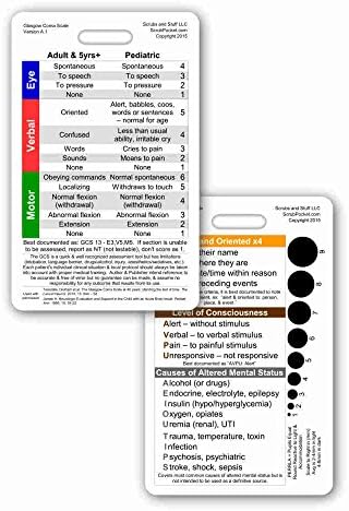 Glasgow Coma Scale (GCS) Vertical Reference Badge ID Card (1 Card) by ...