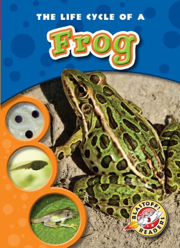 Amazon.com: The Life Cycle of a Frog (Blastoff! Readers: Life Cycles ...
