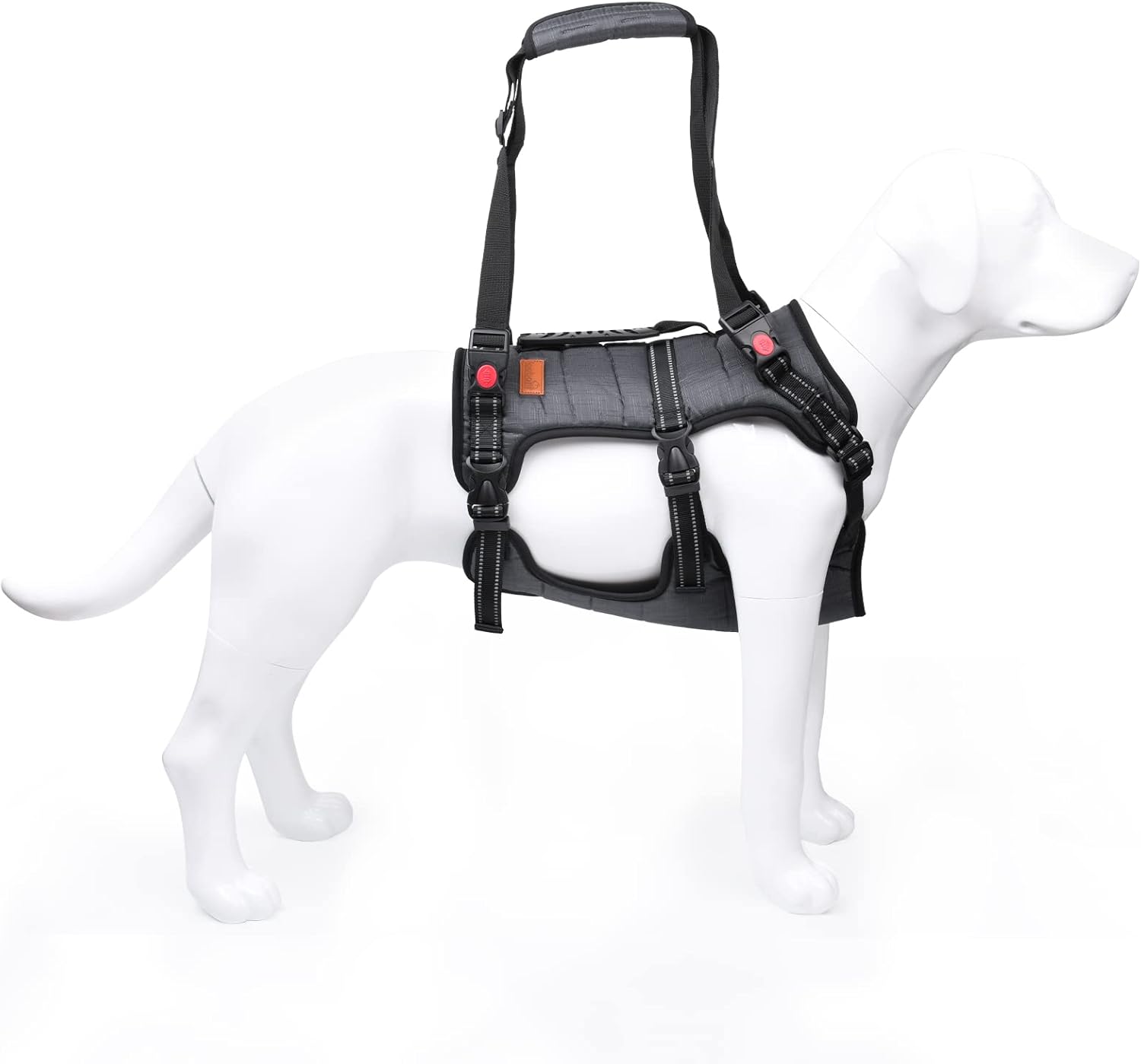 Amazon.com : LOOBANI Dog Lift Harness for Front Legs, Sturdy Dog Support Sling for Senior Small ...