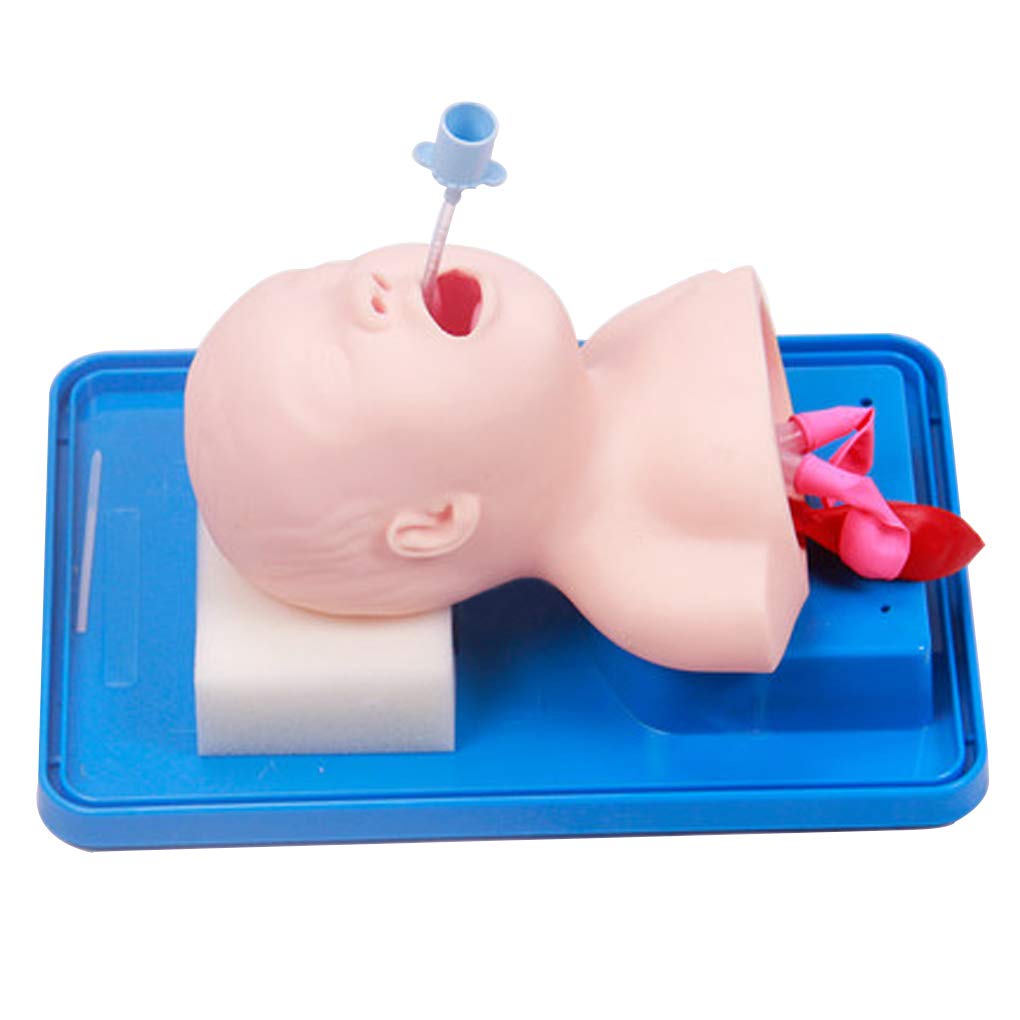 PVC Material Pediatric Intubation Manikin Study Teaching Baby Model ...