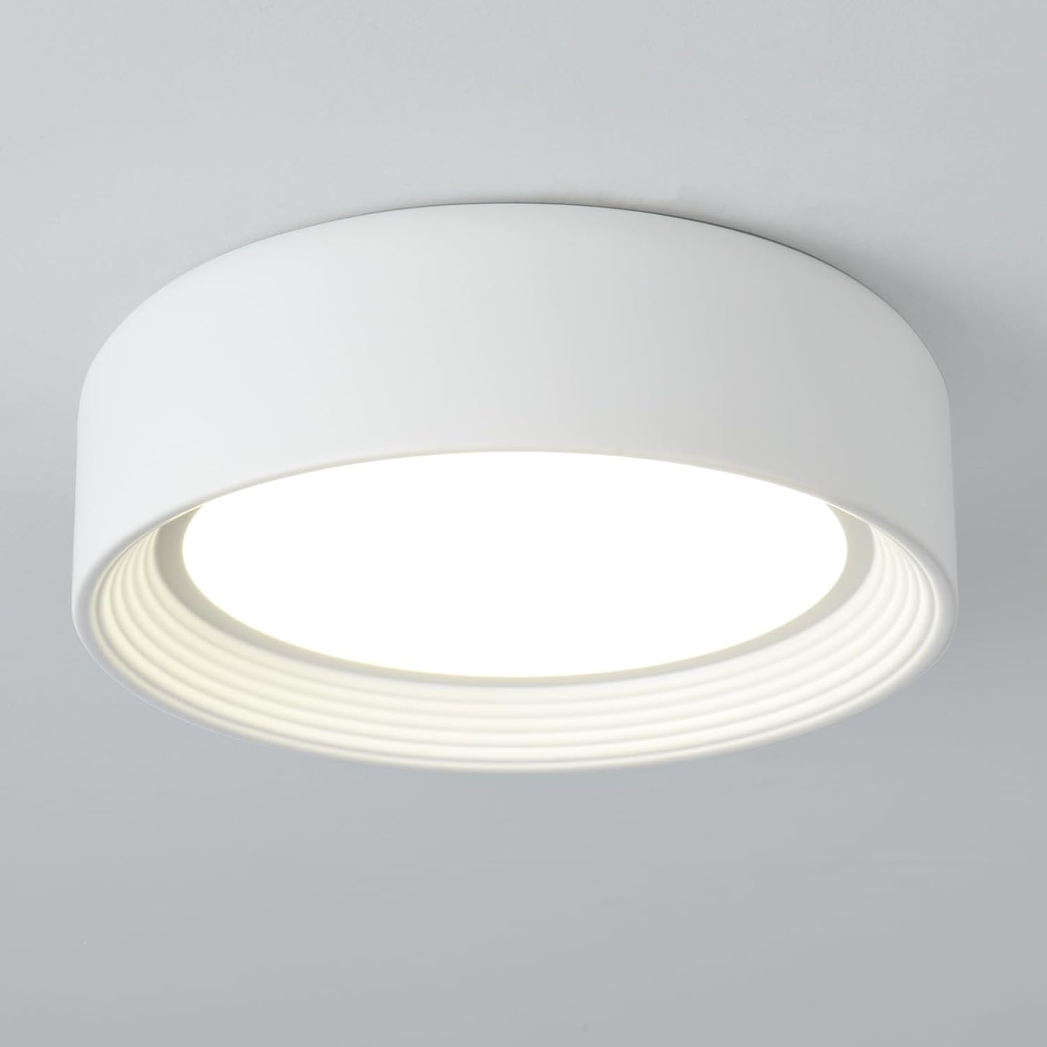 Badiegh Dimmable Flush Mount Ceiling Light White,24W LED Ceiling Light ...
