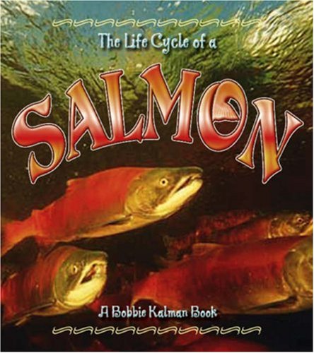 The Life Cycle of a Salmon (The Life Cycle, 26): Kalman, Bobbie ...