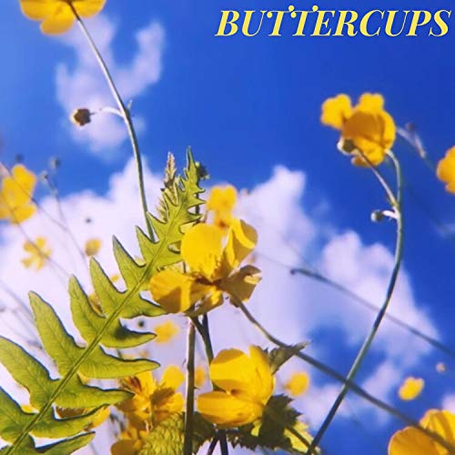 Amazon.co.jp: Buttercups : Amanda Silvera: Digital Music