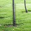 Amazon.com : Yowlieu Metal Tree Trunk Protectors, 6 Pack Plant Guard ...