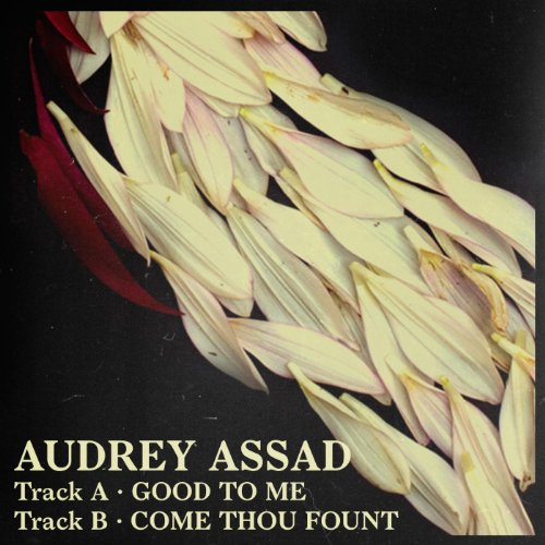 Amazon.com: Good to Me : Audrey Assad: Digital Music