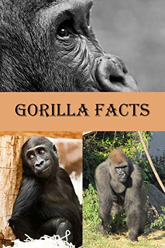 Gorilla Facts: Photobook of Gorilla Fact with real image and Facts that ...