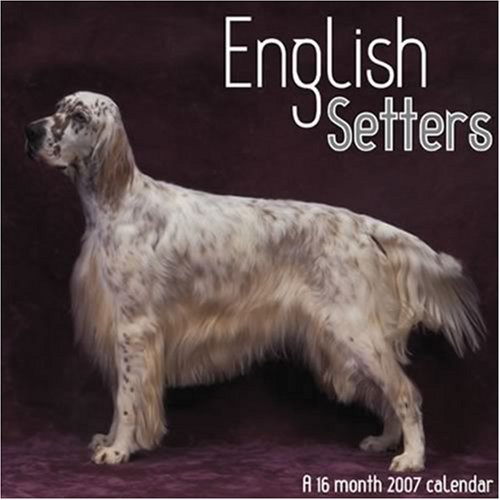 English Setters 2007 Wall Calendar: Magnum: 9781592847099: Amazon.com ...