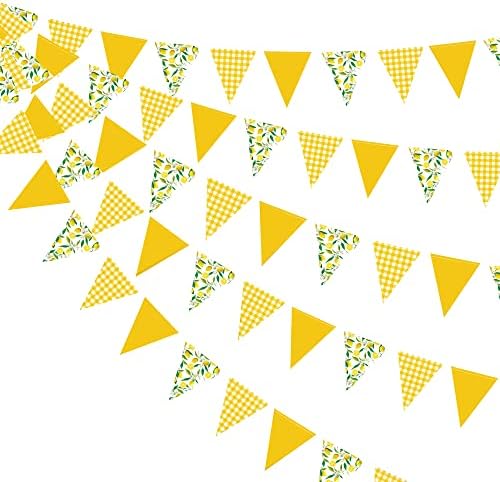 Amazon.com: Kristin Paradise Lemon Banner, Citrus Lemonade Party Sign ...