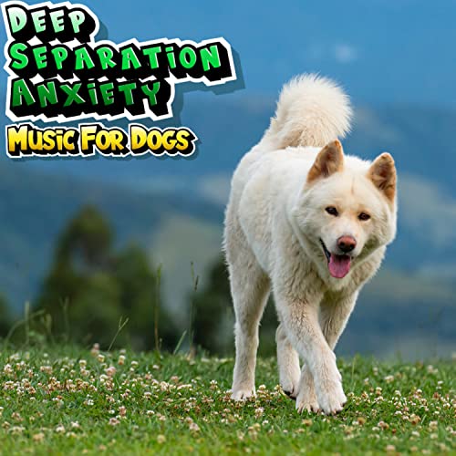 Play Deep Sleep Relaxing Dog Music Tested To Work by Deep Separation ...