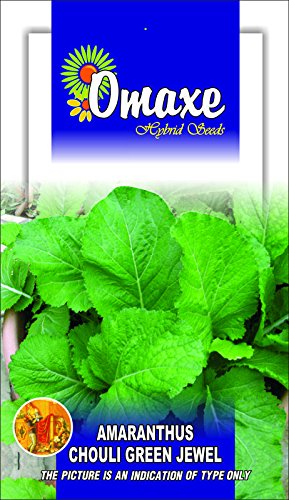 Amaranthus CHOULI Green Jewel : Amazon.in: Garden & Outdoors