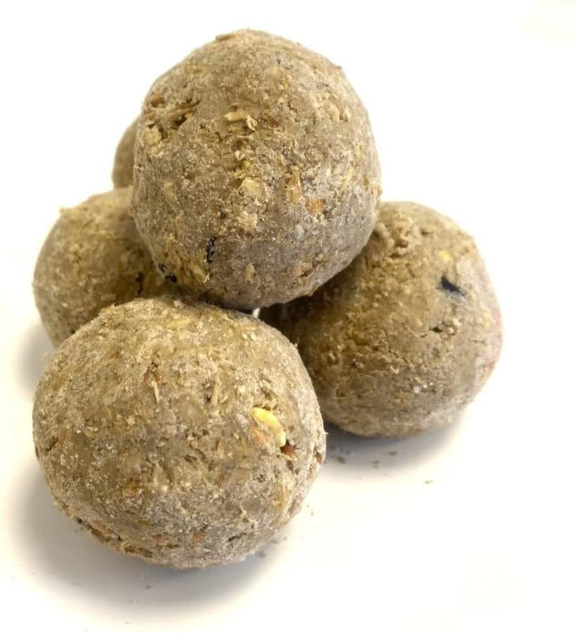 Fat Balls Unnetted x 10 Premium Wild Bird Food WHP : Amazon.co.uk: Pet ...