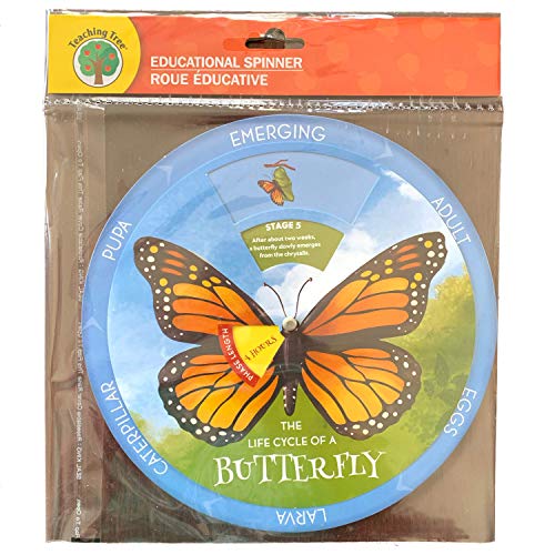 Snapklik.com : Teaching Tree Educational Spinner