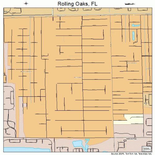 Amazon.com: Large Street & Road Map of Rolling Oaks, Florida FL ...