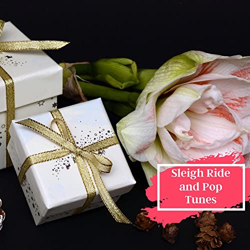 Écouter Sleigh Ride And Pop Tunes par Tan Juel, Samuel TR, Diana Frost ...