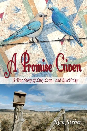 A Promise Given: Rick Steber: Amazon.com: Books