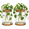 Amazon.com: LAGWIUY Glass Plant Propagation Stations, 2PCS | Hydroponic ...