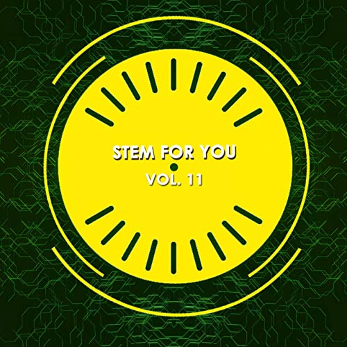 Amazon.co.jp: Stem For You, Vol. 11 : Kar Fresh: Digital Music