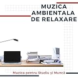 【発売日：2019年07月29日】・製造元:Chilling Music International
