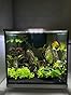 Interpet Aqua Cube Glass Fish Tank Aquarium with Integrated LED ...