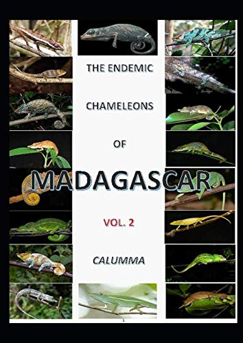 The Endemic Chameleons of Madagascar Vol. 2 Calumma: Rasolonjatovo ...