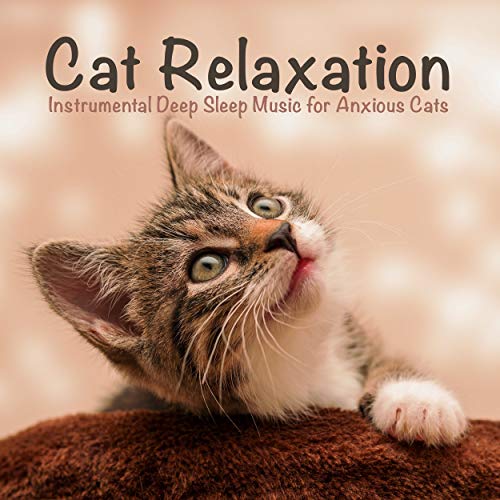 Amazon.co.jp: Cat Relaxation: Instrumental Deep Sleep Music for Anxious ...