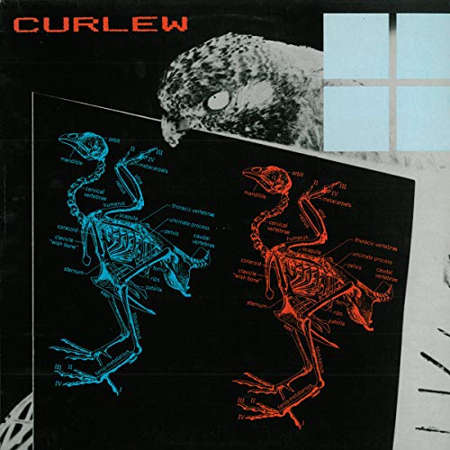 Curlew George Cartwright Bill Laswell Tom Cora... - Curlew(LP) vinyl ...