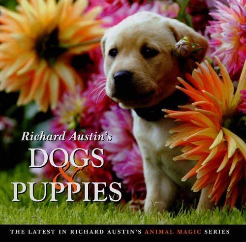 Richard Austin's Dogs and Puppies: Richard Austin: 9781841144856 ...