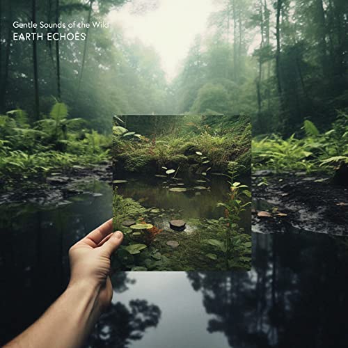 Écouter Gentle Sounds of the Wild par Earth Echoes sur Amazon Music Unlimited