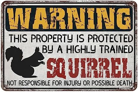 Amazon.com : EMOHAT Squirrel Protected By Squirrels Warning Beware Of ...