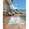 Amazon.com: Coastal Outdoor Rug for Patio/Deck/Porch, Summer Beach Blue ...