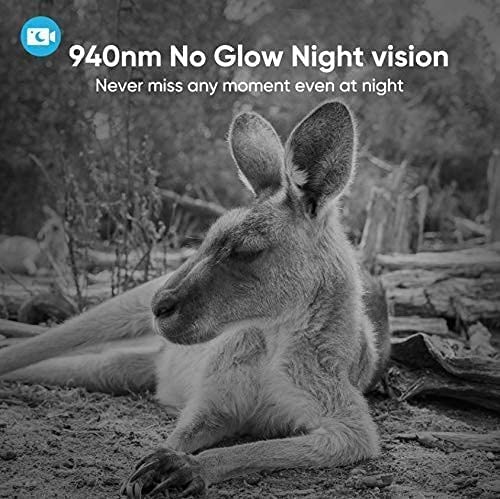 YTREW Product Guide: 5 Best Things to Buy from YTREW (June 2025 ...