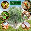 Amazon.com : 3 Pack Fruit Tree Netting 7x6 Ft Garden Netting for Tree Protection Large Tree ...