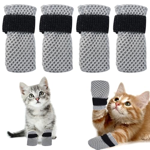 Cat Mittens – The 15 best products compared - Wild Explained