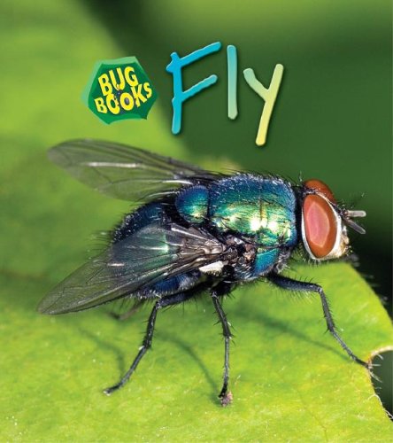 Amazon.com: Fly (Bug Books): 9781432912338: Hartley, Karen, MacRo ...
