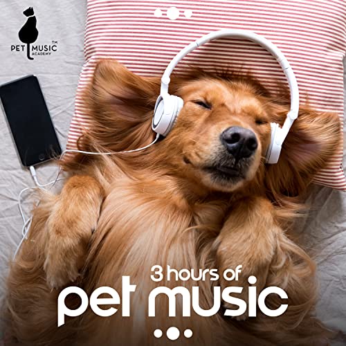 Comfort Retriever – Die 15 besten Produkte im Vergleich ...