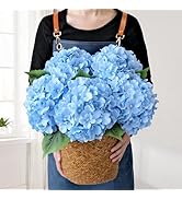Amazon.com: JINWOE Light Blue Poppy Artificial Flowers,6 Stems Long ...