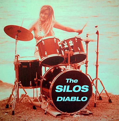 Amazon.de:Diablo [Vinyl LP]