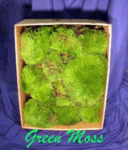 Amazon.com: Mood Moss Bulk Big 1.5 Cubic Foot Box : Arts, Crafts & Sewing
