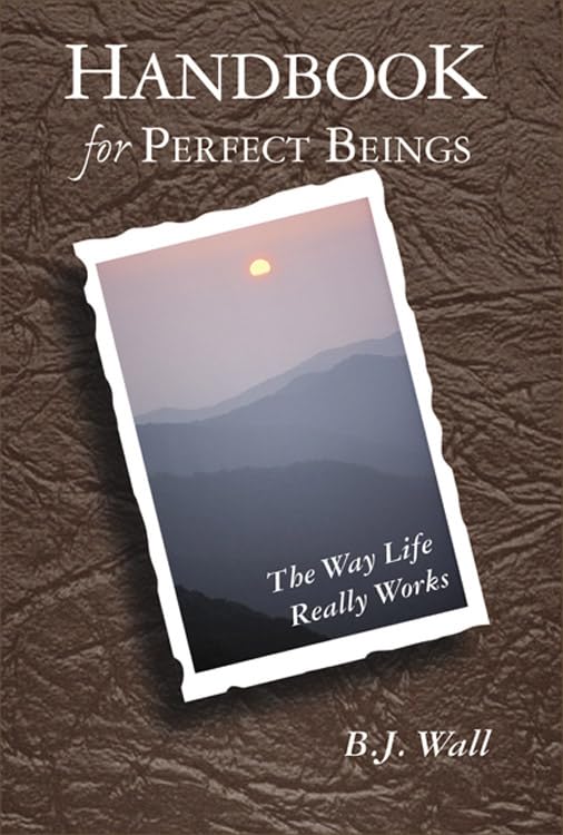 Amazon.com: Handbook for Perfect Beings: The Way Life Really Works ...