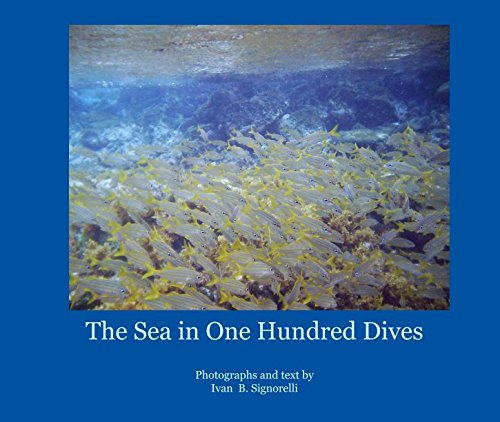 The Sea in One Hundred Dives: Ivan B. Signorelli: 9781366840905: Amazon ...