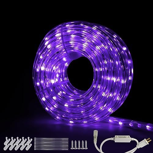 Amazon.com: beatineon 33FT Rope Lights Outdoor with Remote,Cuttable ...
