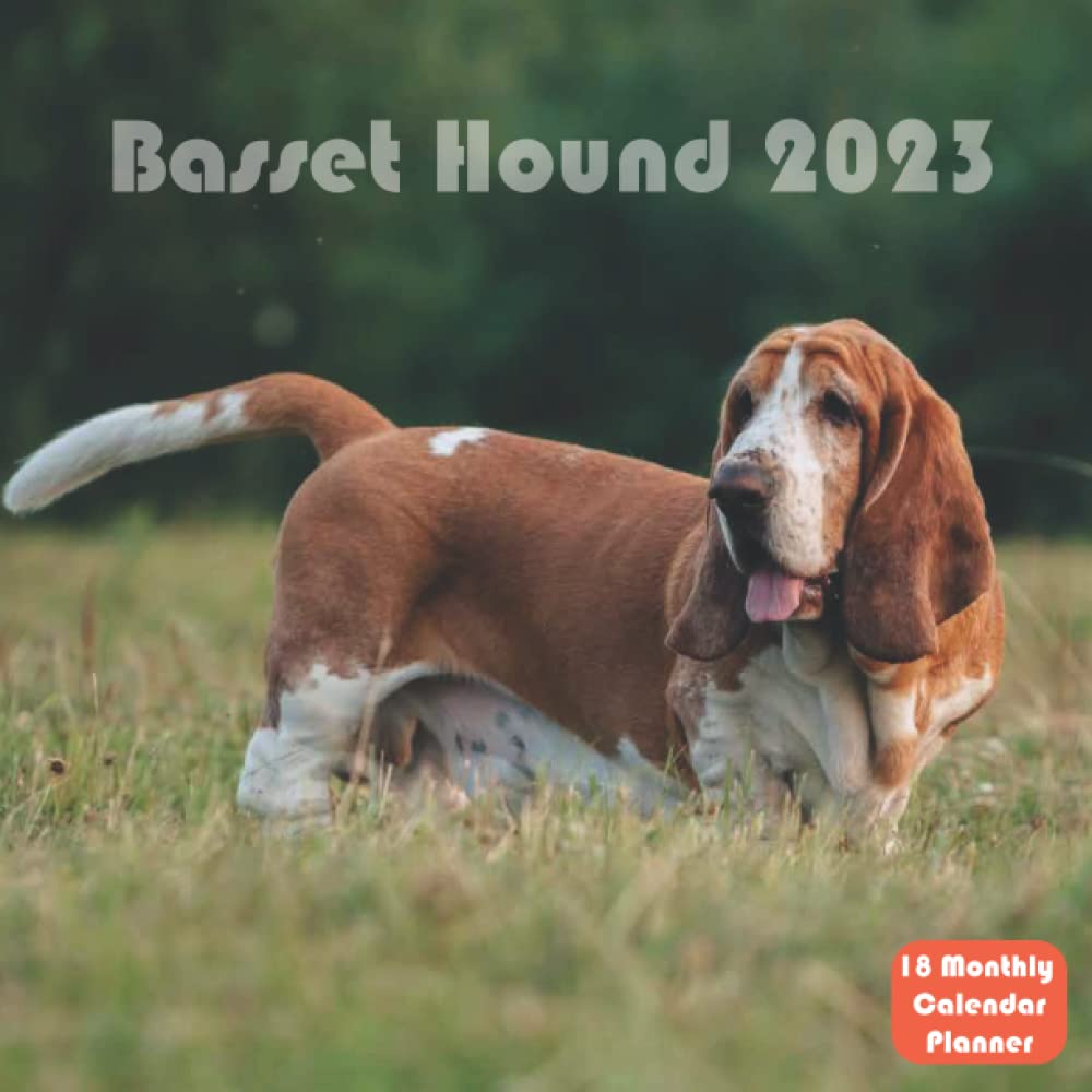 Buy Basset Hound 18 Monthly : 2023 Planner Square Online at desertcartINDIA
