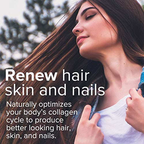 The 3 Best Sanar Naturals Collagen Supplements of 2025 [Verified ...