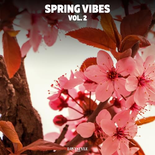 Écouter Spring Vibes, Vol. 2 par VARIOUS ARTISTS sur Amazon Music Unlimited