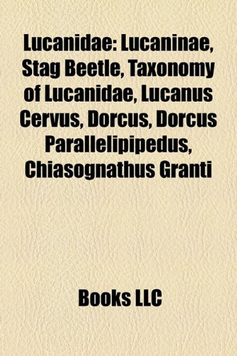 Lucanidae: Lucaninae, Stag Beetle, Taxonomy of Lucanidae, Lucanus ...