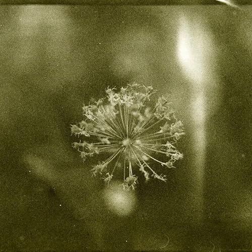 Play Feels Like Green by Jade Street on Amazon Music Unlimited