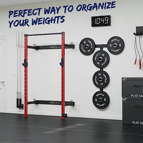 Buying Guide | Mikolo Weight Plate Storage Rack, 5-Peg Wall Mounted ...