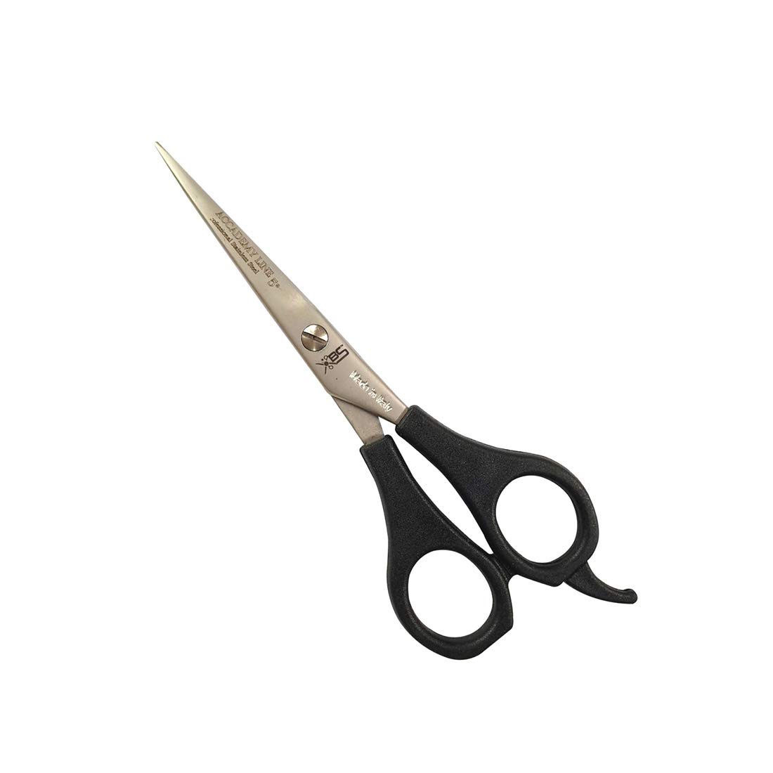 Xbs Imported Professional Hair Cutting Dressing Scissors From Italy Xbs ...